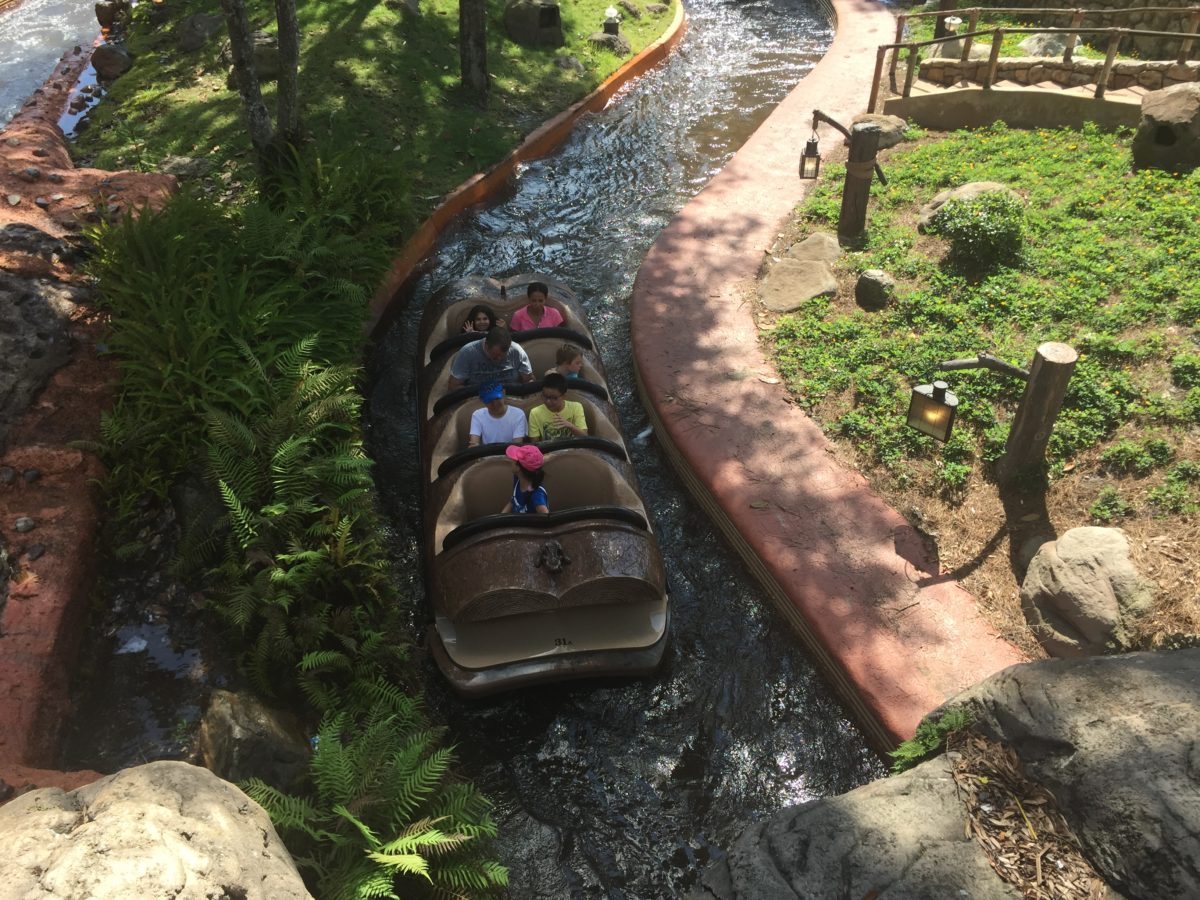Splash Mountain Review - DisneywithIzzy