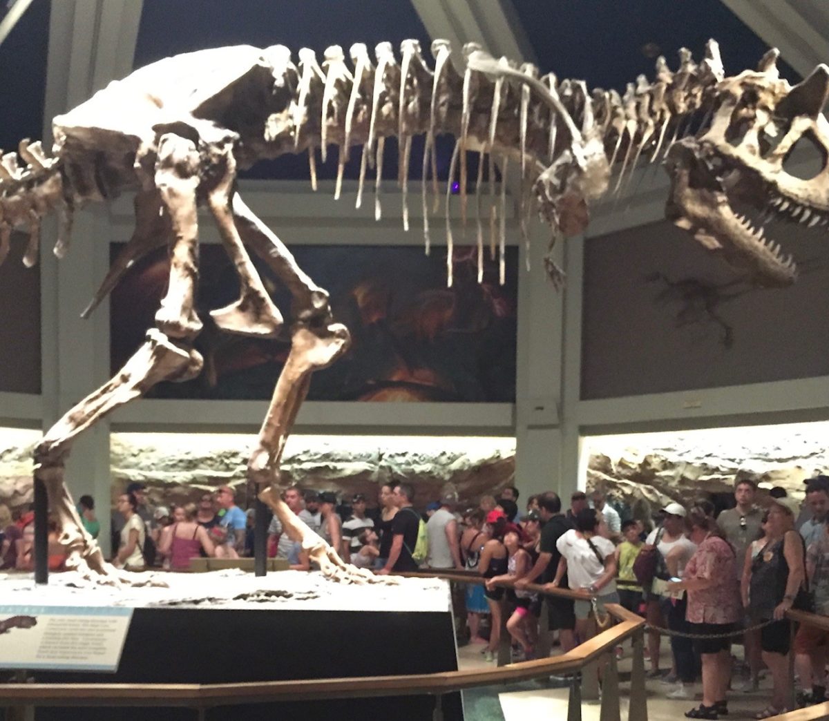 DinoLand U.S.A – DisneywithIzzy