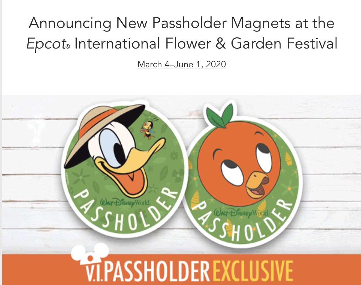 New Passholder Magnets For Disney Passholders - DisneywithIzzy